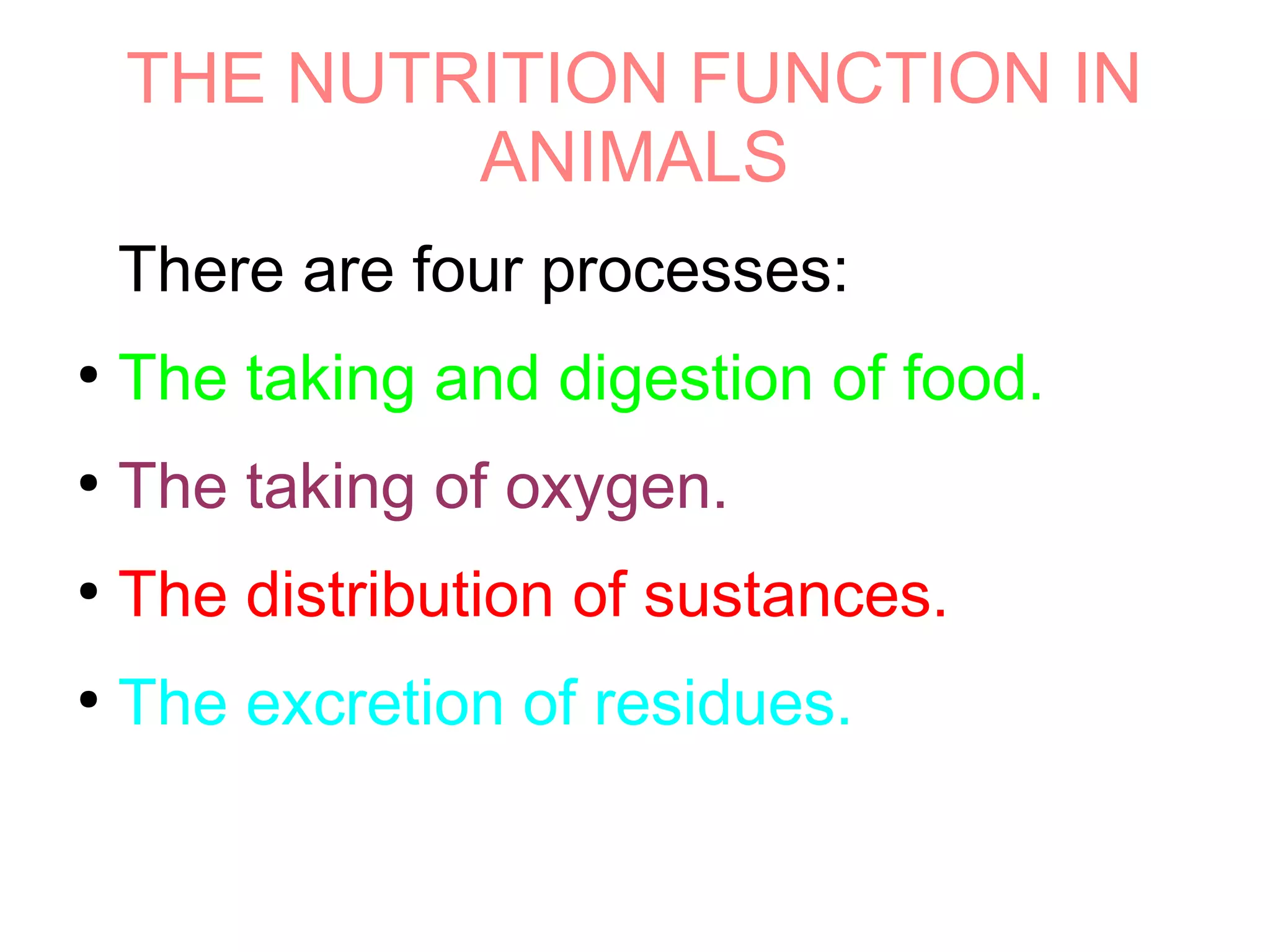 Animals 5th Grade | ODP