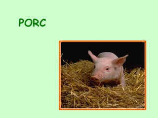 Animals de la granja | PPT