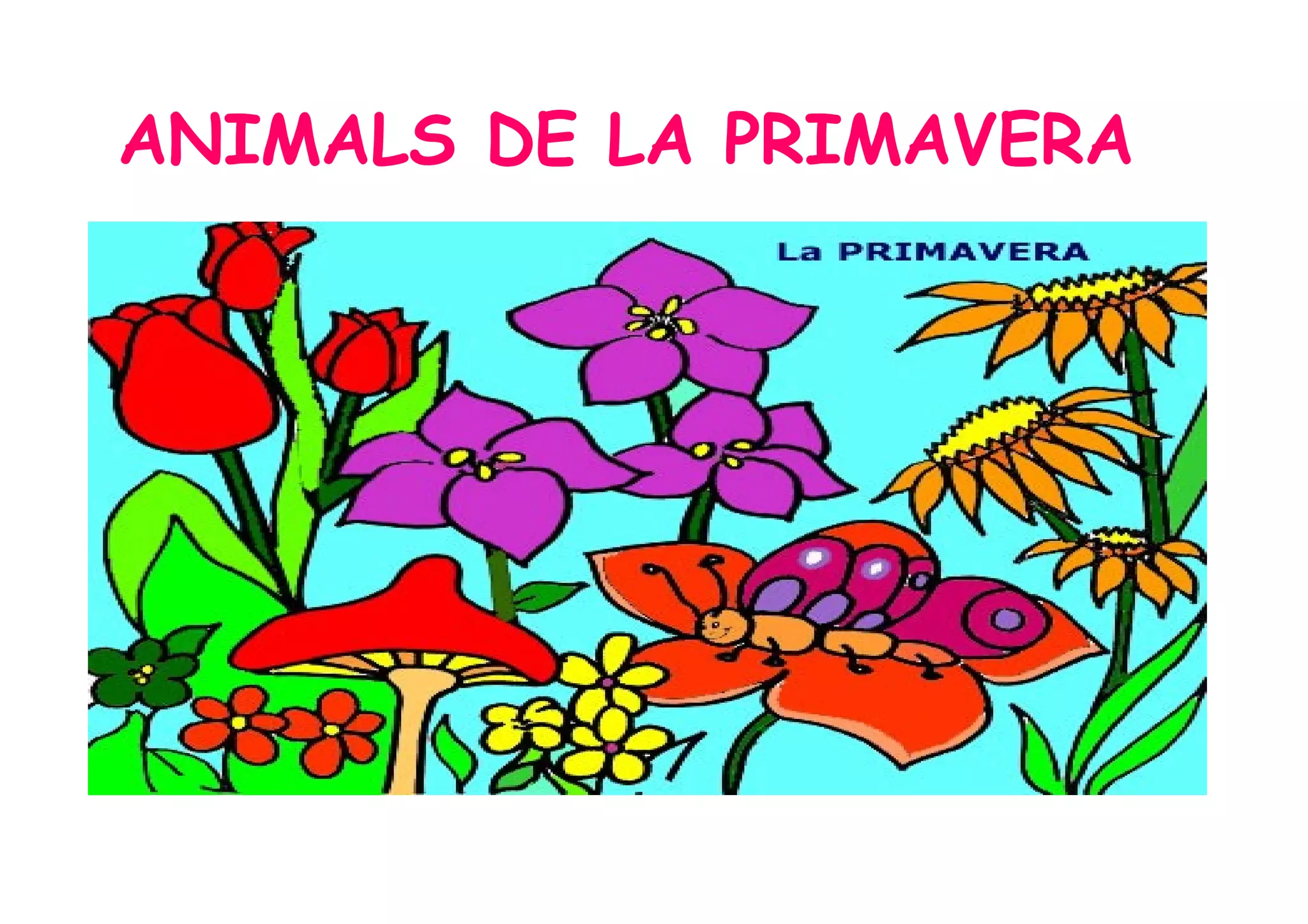 Animals de la primavera | ODT