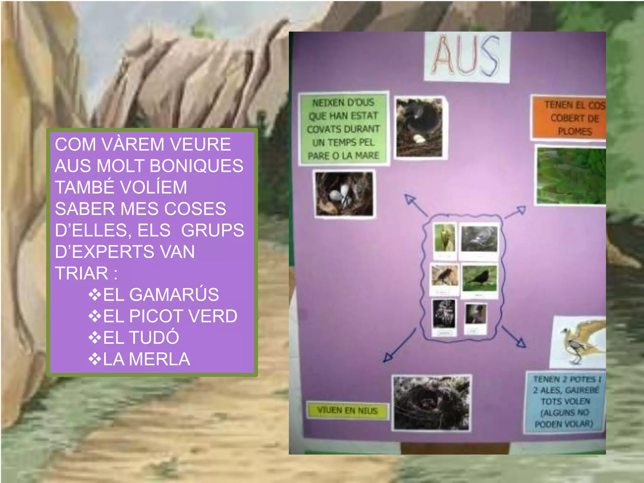 Animals del bosc | PPSX