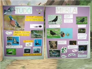 Animals del bosc | PPSX