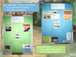 Animals del bosc | PPSX