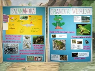 Animals del bosc | PPSX