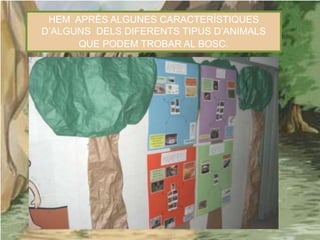 Animals del bosc | PPSX