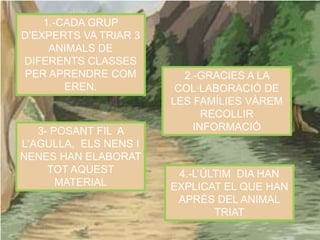 Animals del bosc | PPSX