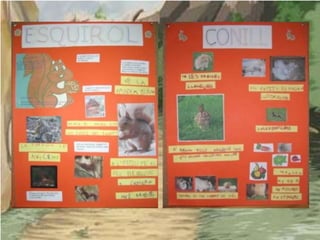 Animals del bosc | PPSX