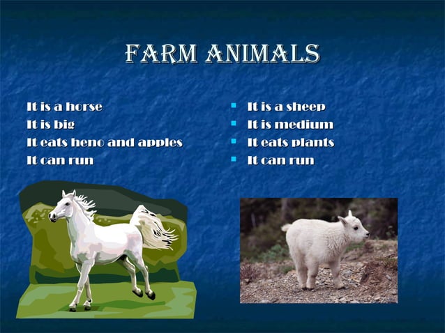 Animals description | PPT