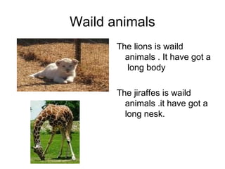 Animal´s description ori y sofi .g | PPT