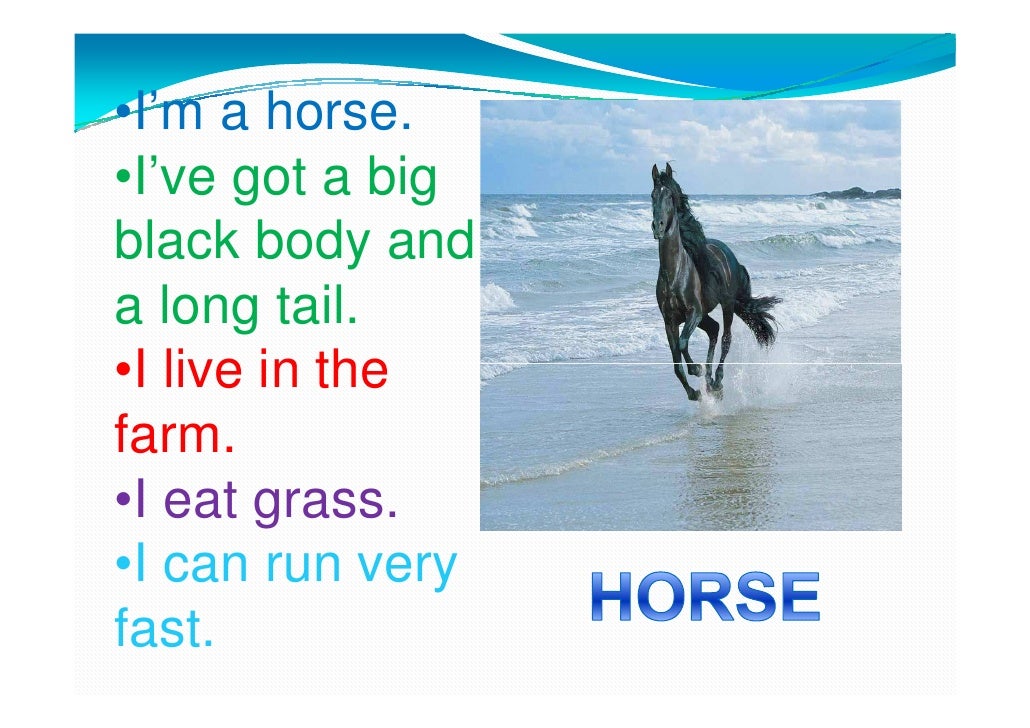 Animals descriptions pp