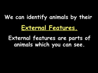 Unit 1: Animal | PPT