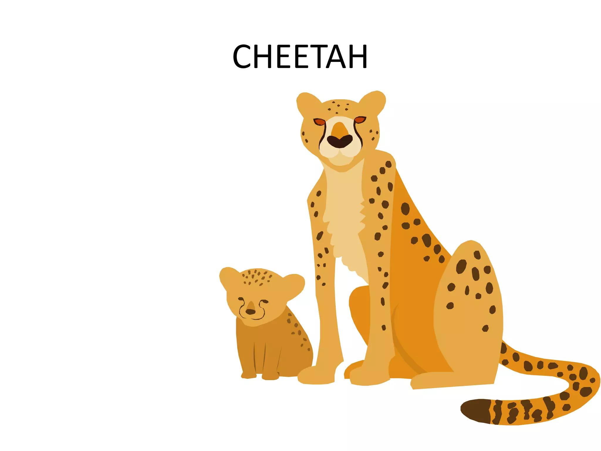 Animals english class 3rd grade | PPTX