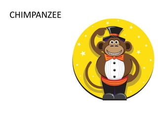 Animals english class 3rd grade | PPTX