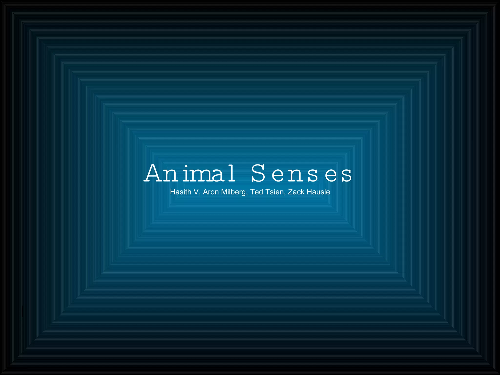 Animal Senses | PPT