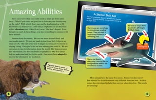 Animal_Senses_e-book.pdkjjjjjjjjjjjjjjjjjj | PDF