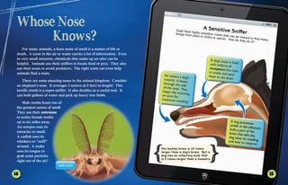 Animal_Senses_e-book.pdkjjjjjjjjjjjjjjjjjj | PDF