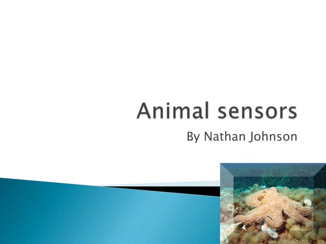 Animal sensors | PPT