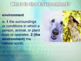 Animals environment | PPS
