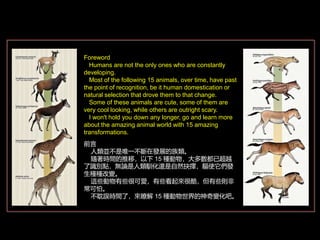 Animals Evolved Over Time (隨著時間演化的動物).ppsx