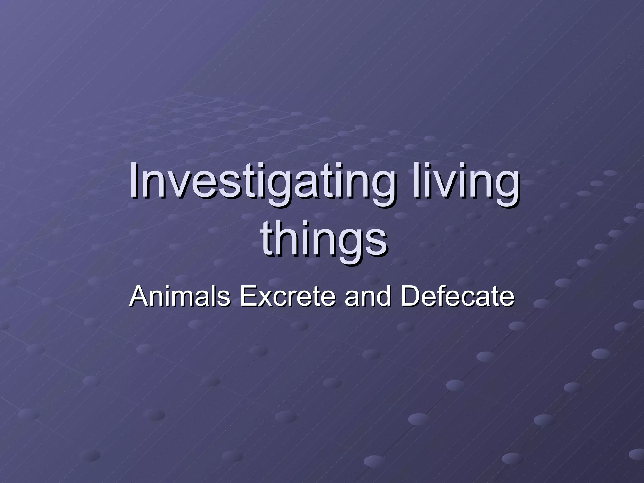 Animals excrete & defecate | PPT