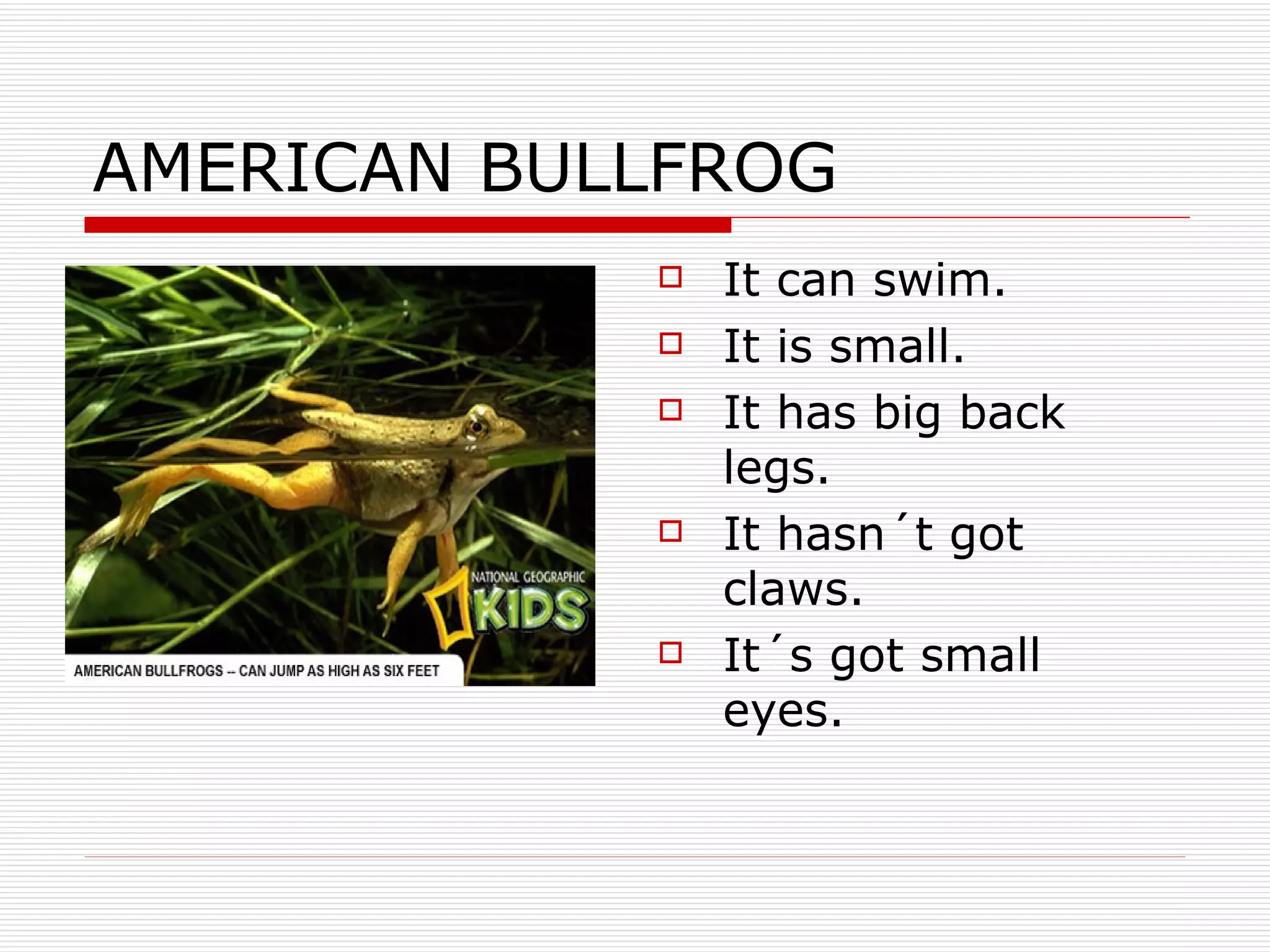 Animals exercise | PPT