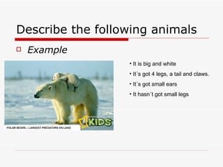 Animals exercise | PPT | Birds | Pets