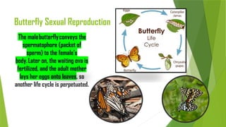 Animal Sexual Reproduction by Group P MSU | PPT
