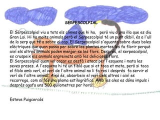 Animals Fantàstics | PPT