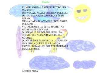 Animals Fantàstics | PPT
