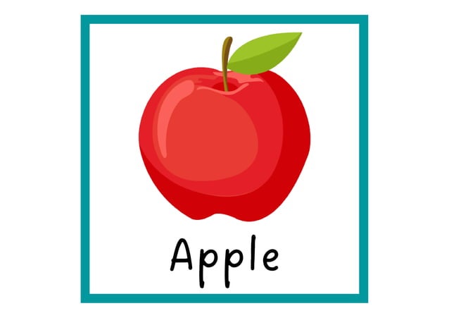 Animals Flashcard............................ | PPT