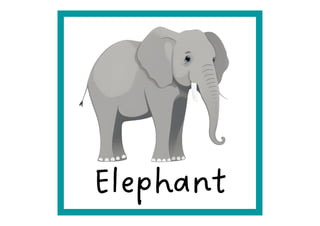 Animals Flashcard............................ | PPT | Free Download