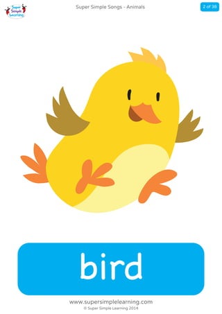 ANIMALS FLASHCARDS.pdf
