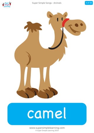 ANIMALS FLASHCARDS.pdf