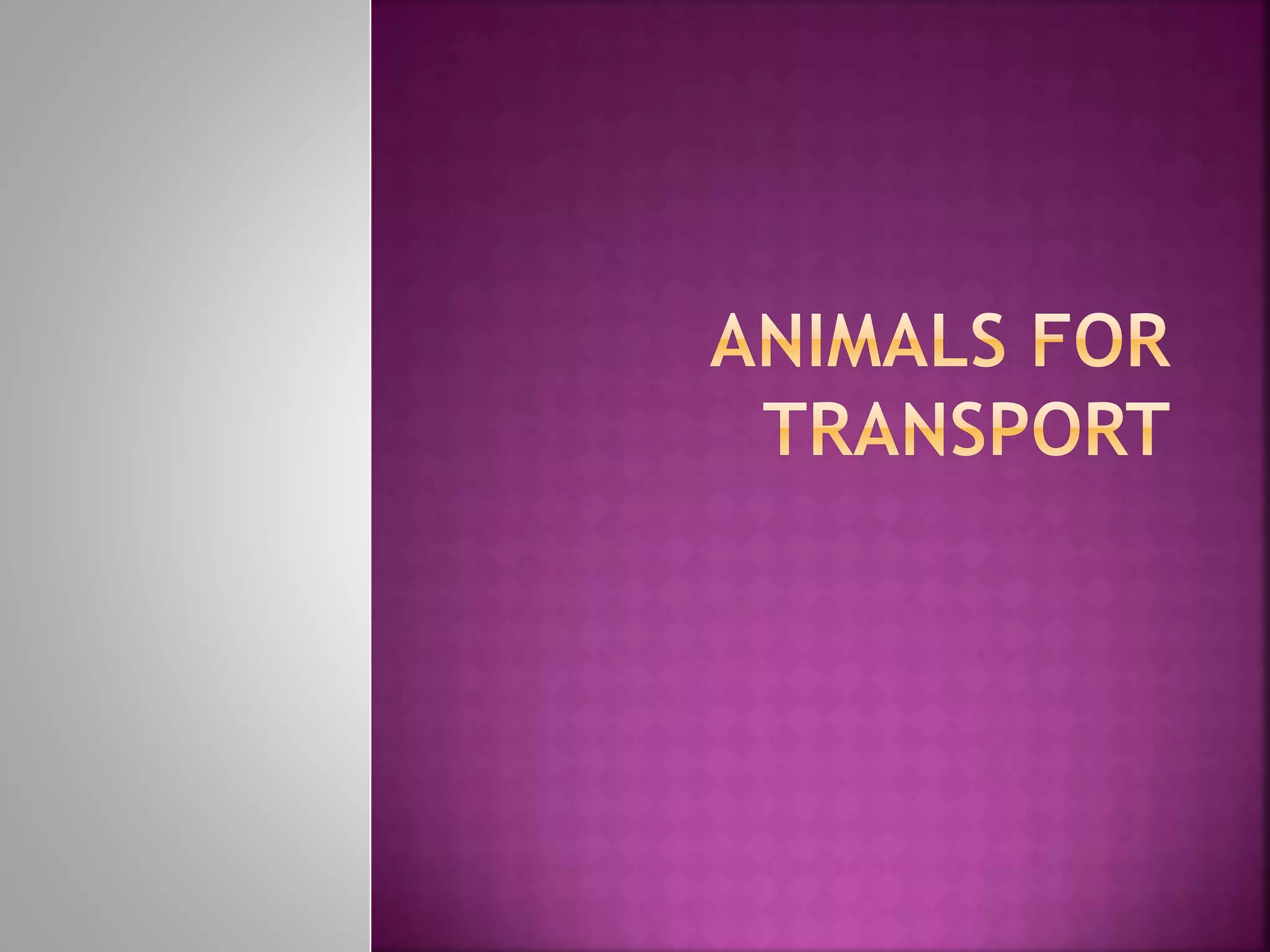 Animals for transport | PPTX