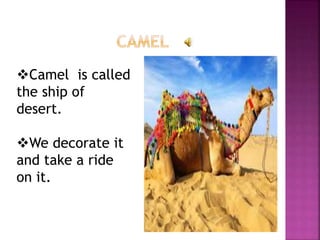 Animals for transport | PPTX