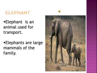 Animals for transport | PPTX