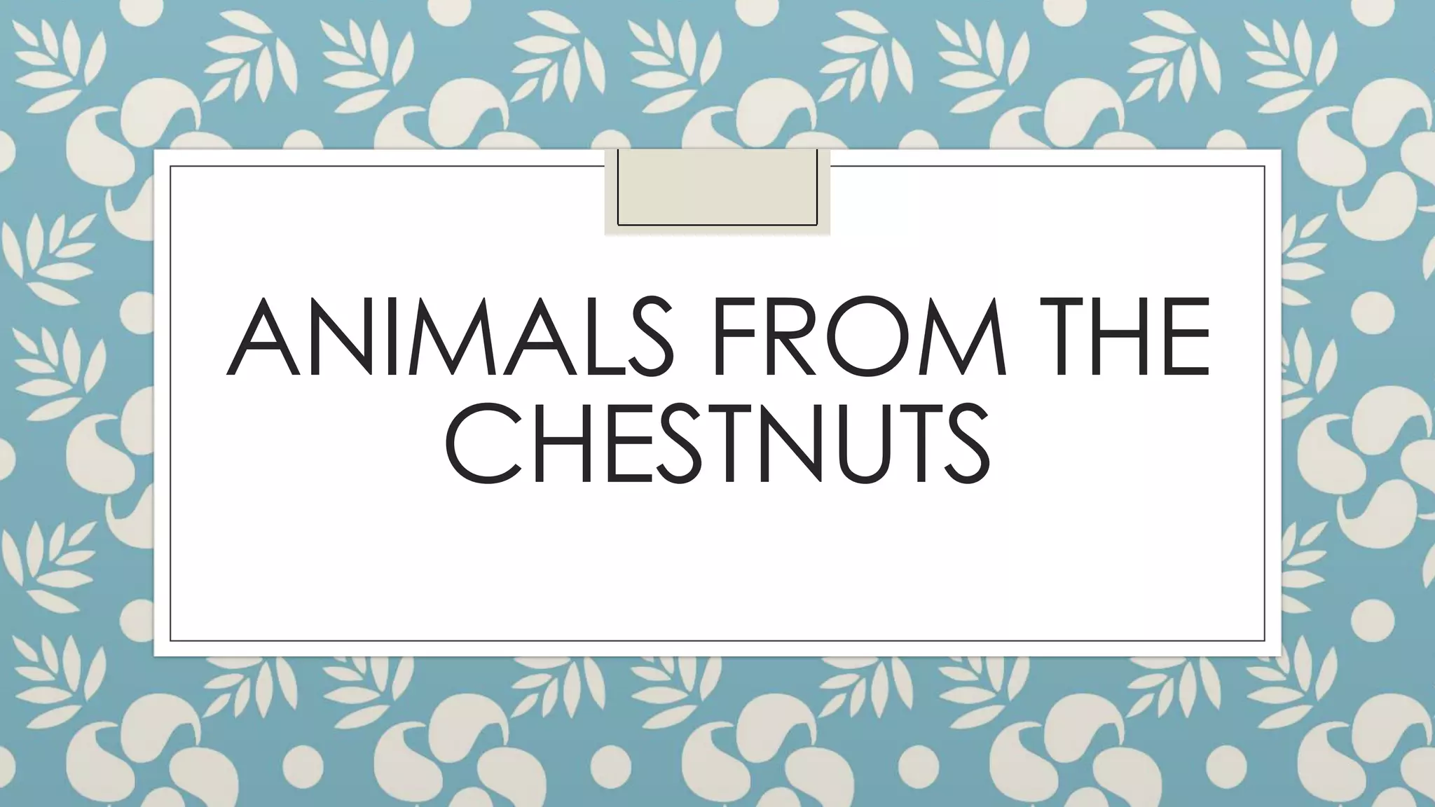 Animals from the chestnuts | PPTX