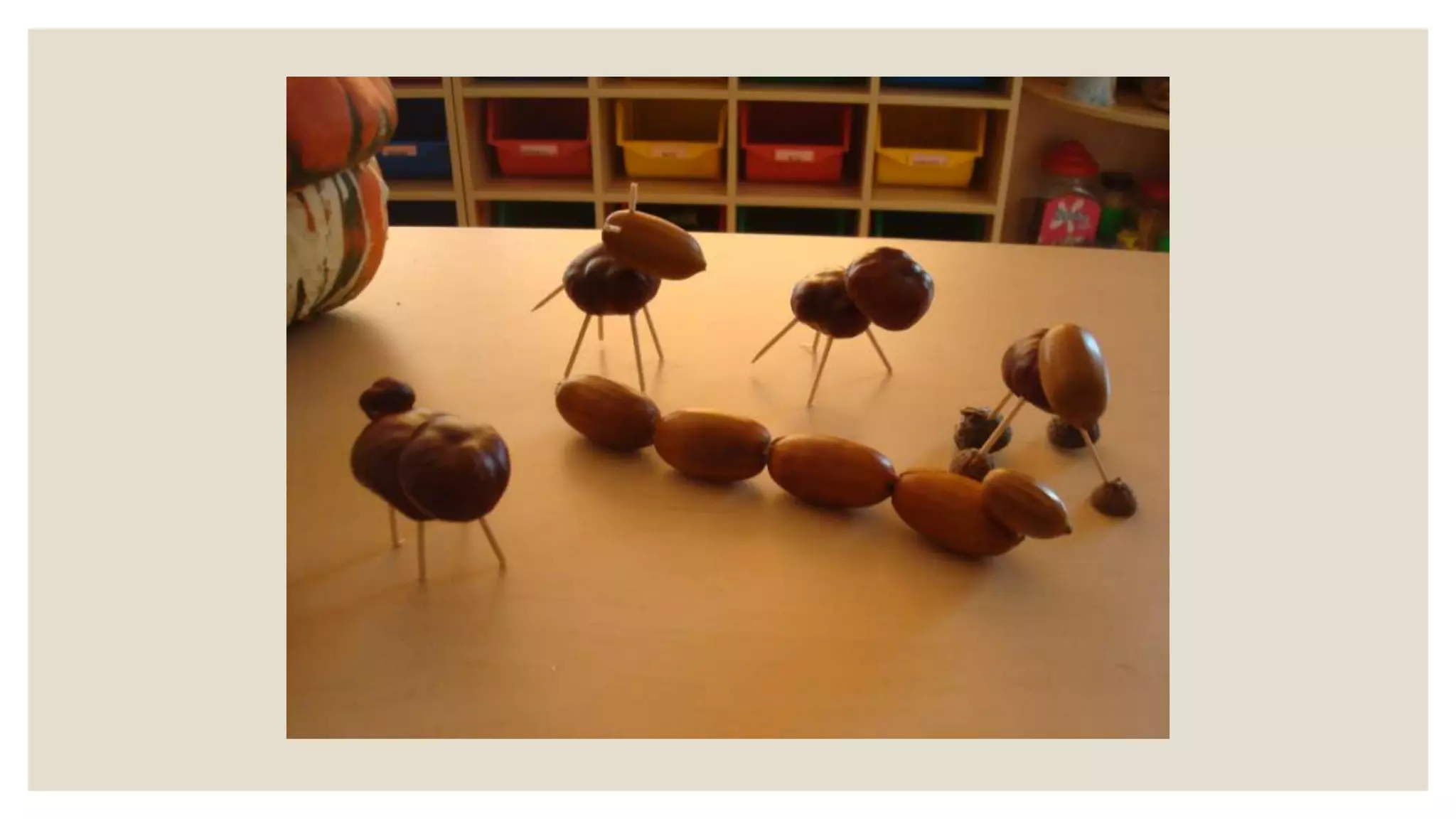 Animals from the chestnuts | PPTX