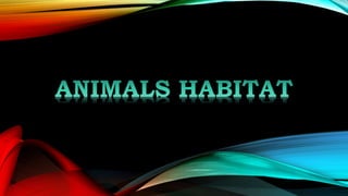 Animals habitat | PPTX