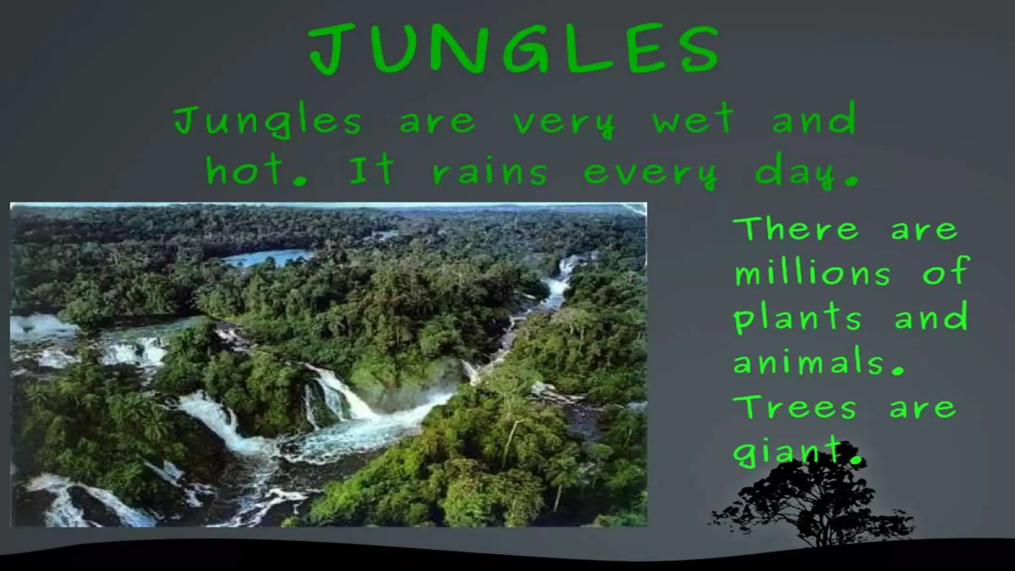 Animals Habitat.pptx for Grade 3 Student | PPTX