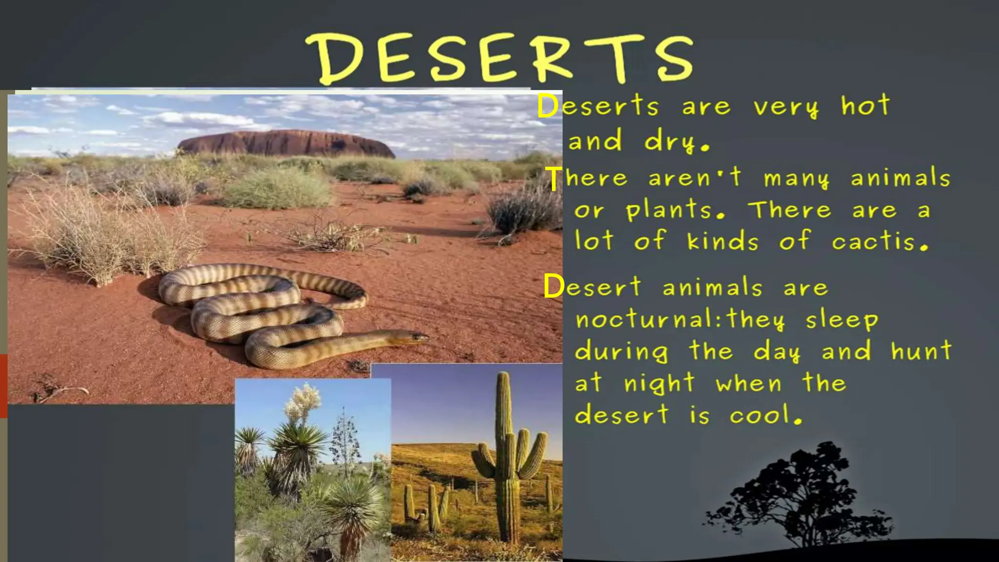 Animals Habitat.pptx for Grade 3 Student | PPTX