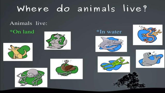 Animals Habitat.pptx for Grade 3 Student | PPTX