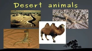 Animals Habitat.pptx for Grade 3 Student | PPTX