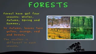 Animals Habitat.pptx for Grade 3 Student | PPTX