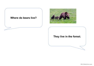 Animals Habitat - Questions Present Simple.pdf