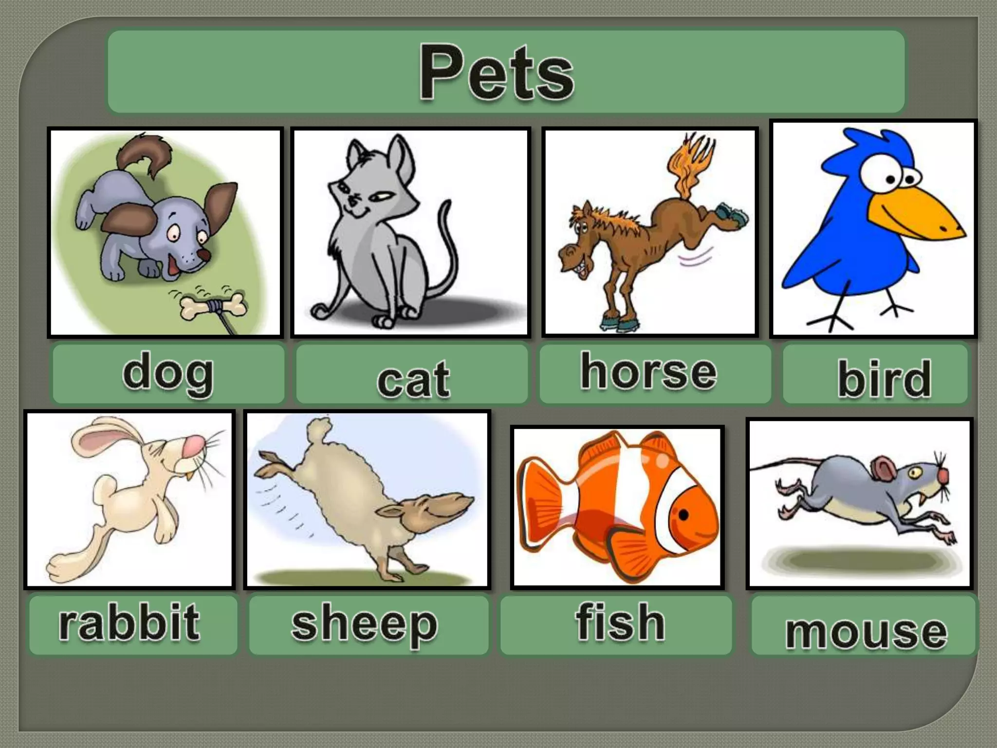 PowerPoint: Animals/ Verb have got | PPTX