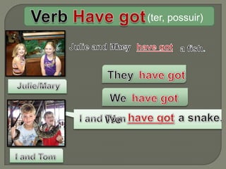 PowerPoint: Animals/ Verb have got | PPTX