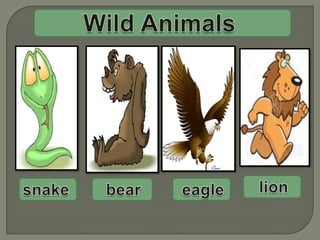 PowerPoint: Animals/ Verb have got | PPTX