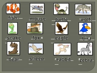 PowerPoint: Animals/ Verb have got | PPTX