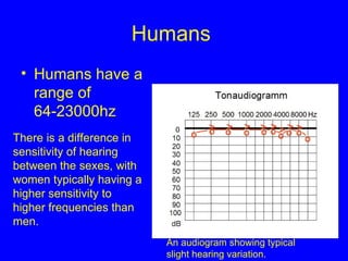 Animals Hearing Range | PPT