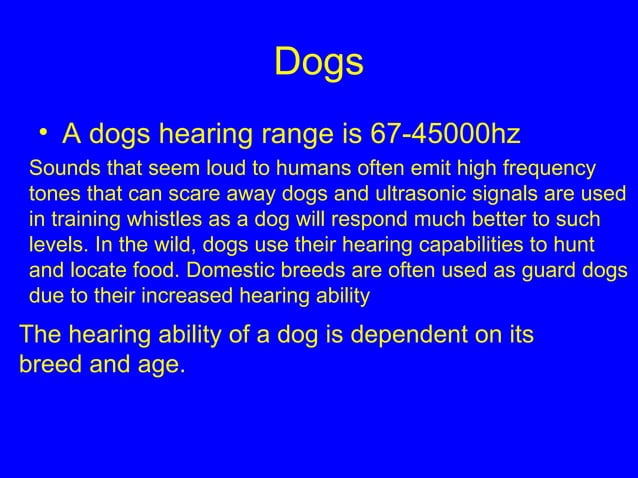 Animals Hearing Range | PPT